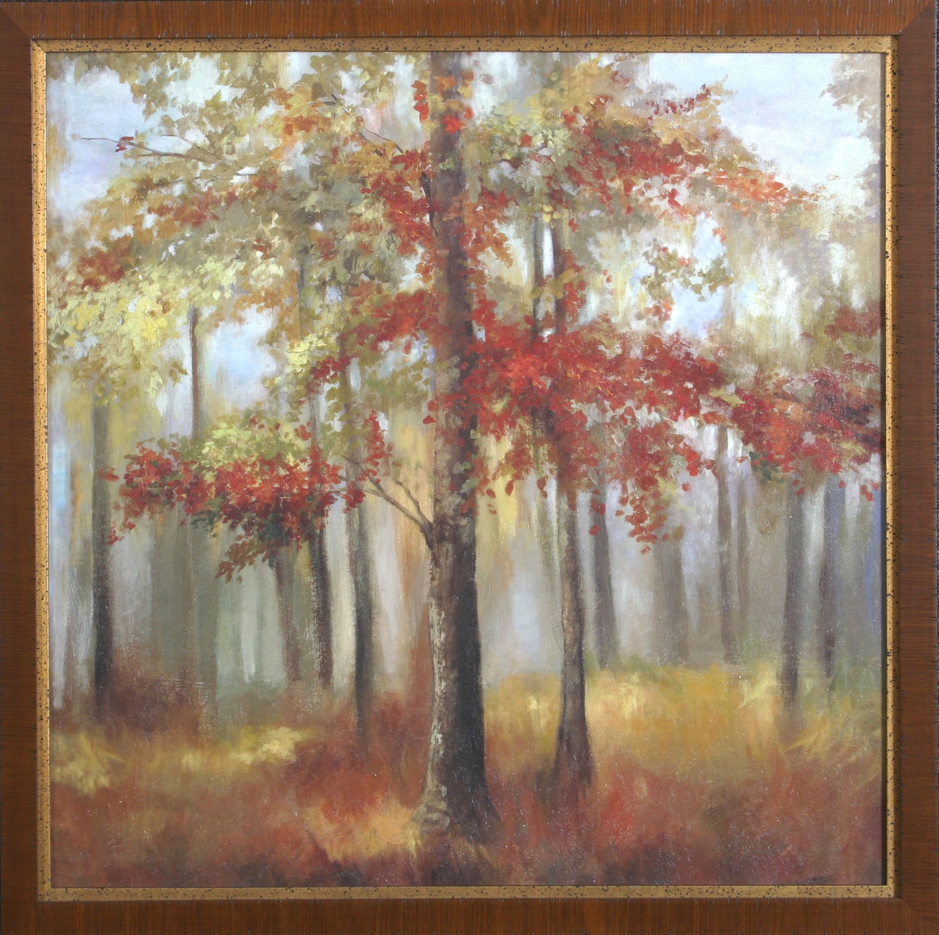 SOFT LIGHT – Shadow Catchers Art