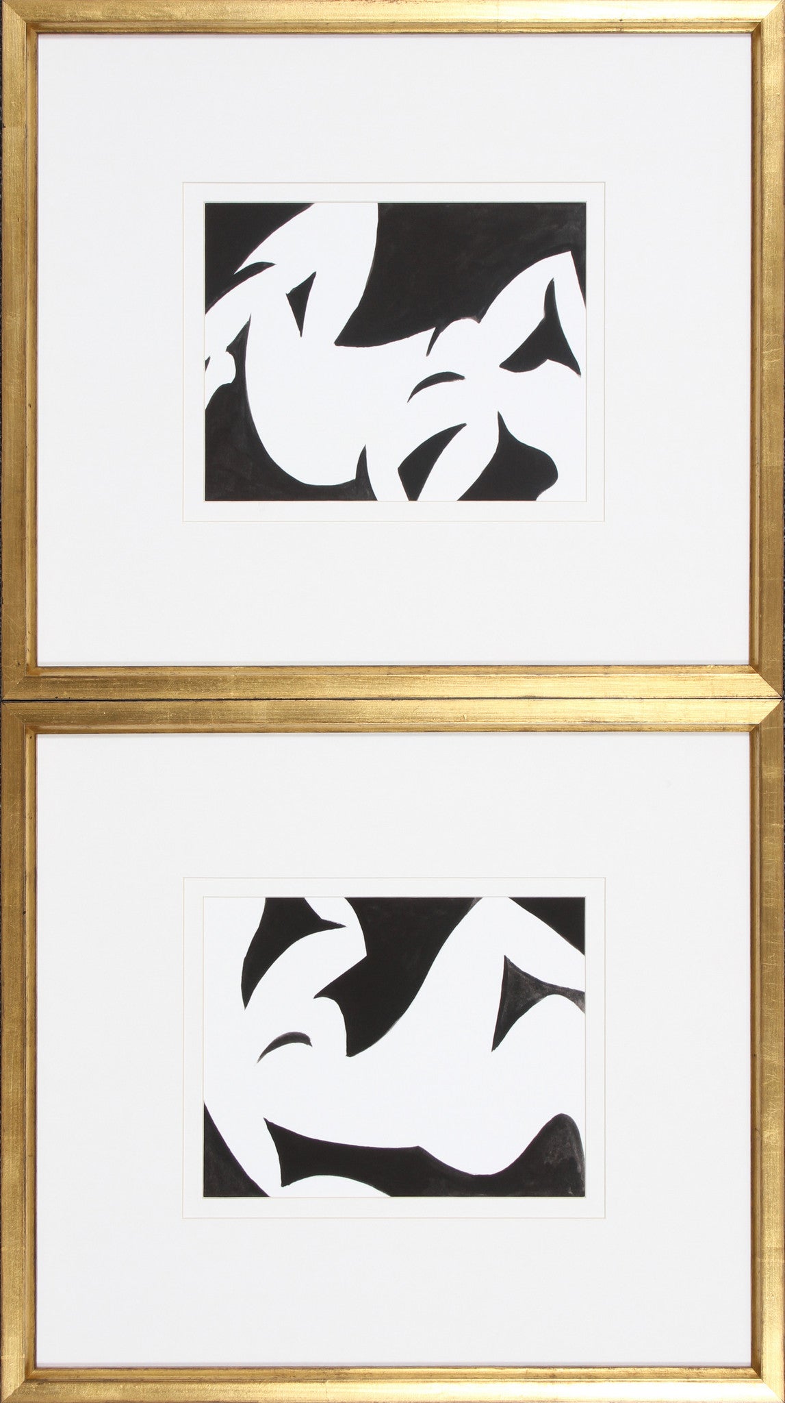 NEGATIVE I & II – Shadow Catchers Art