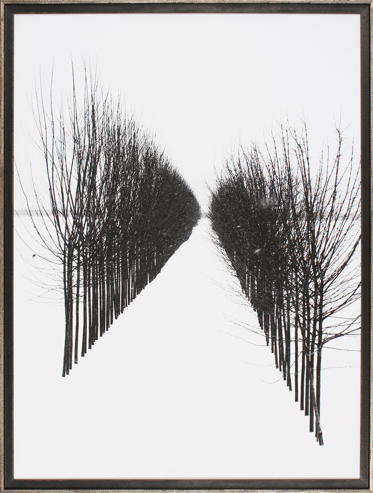 RENDEZ VOUS – Shadow Catchers Art