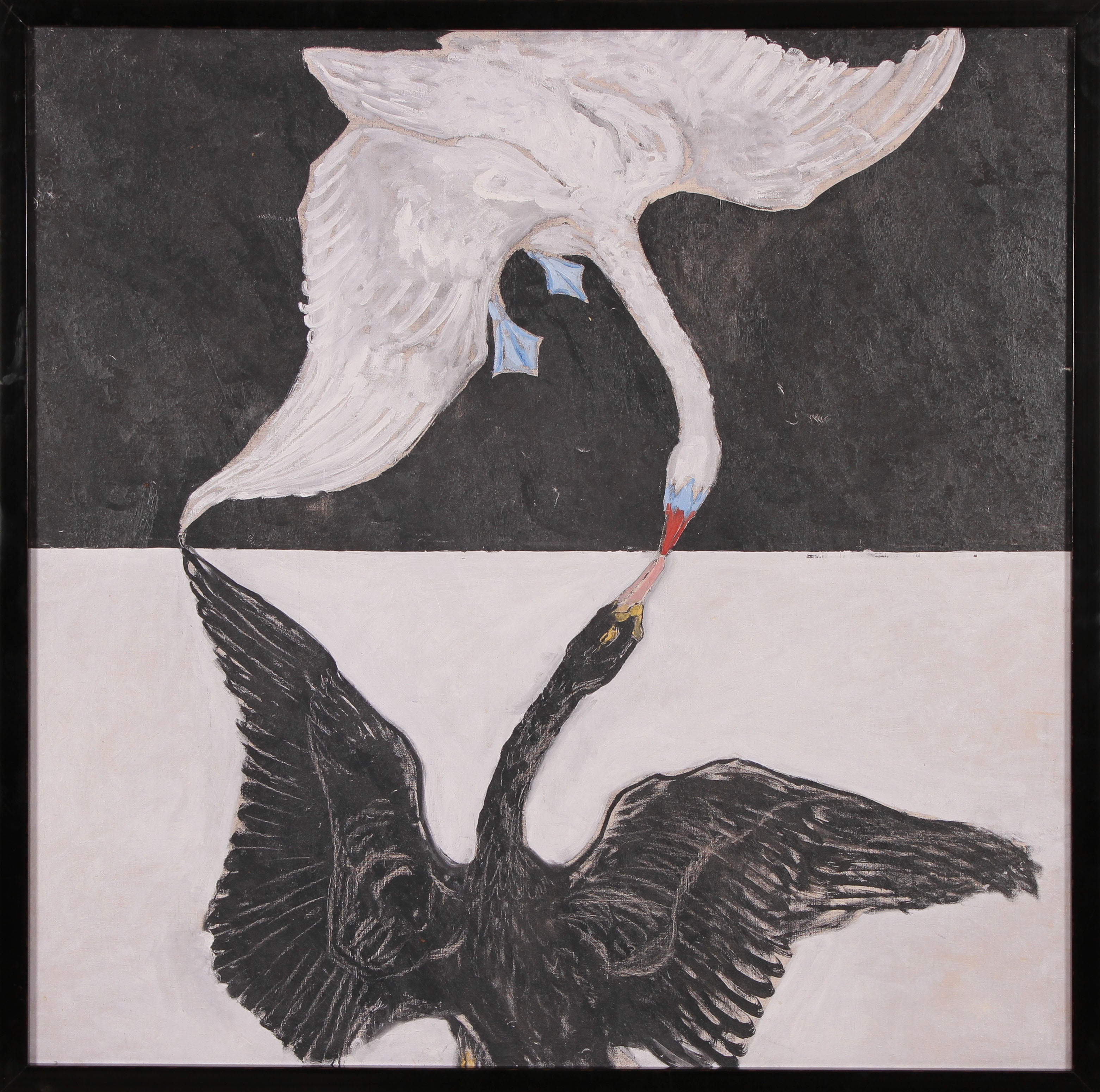 THE SWAN – Shadow Catchers Art