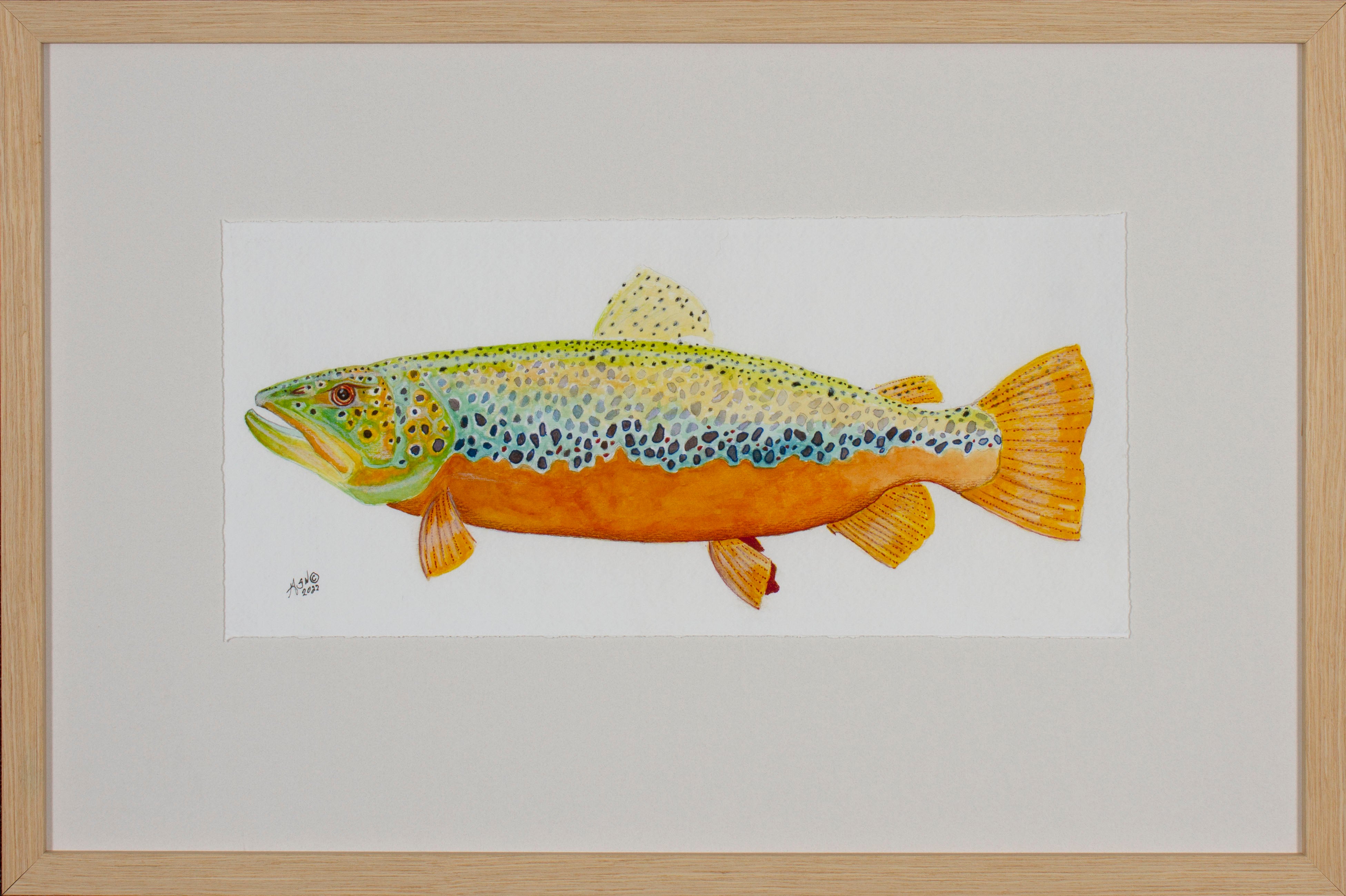 SPOTTED FISH – Shadow Catchers Art