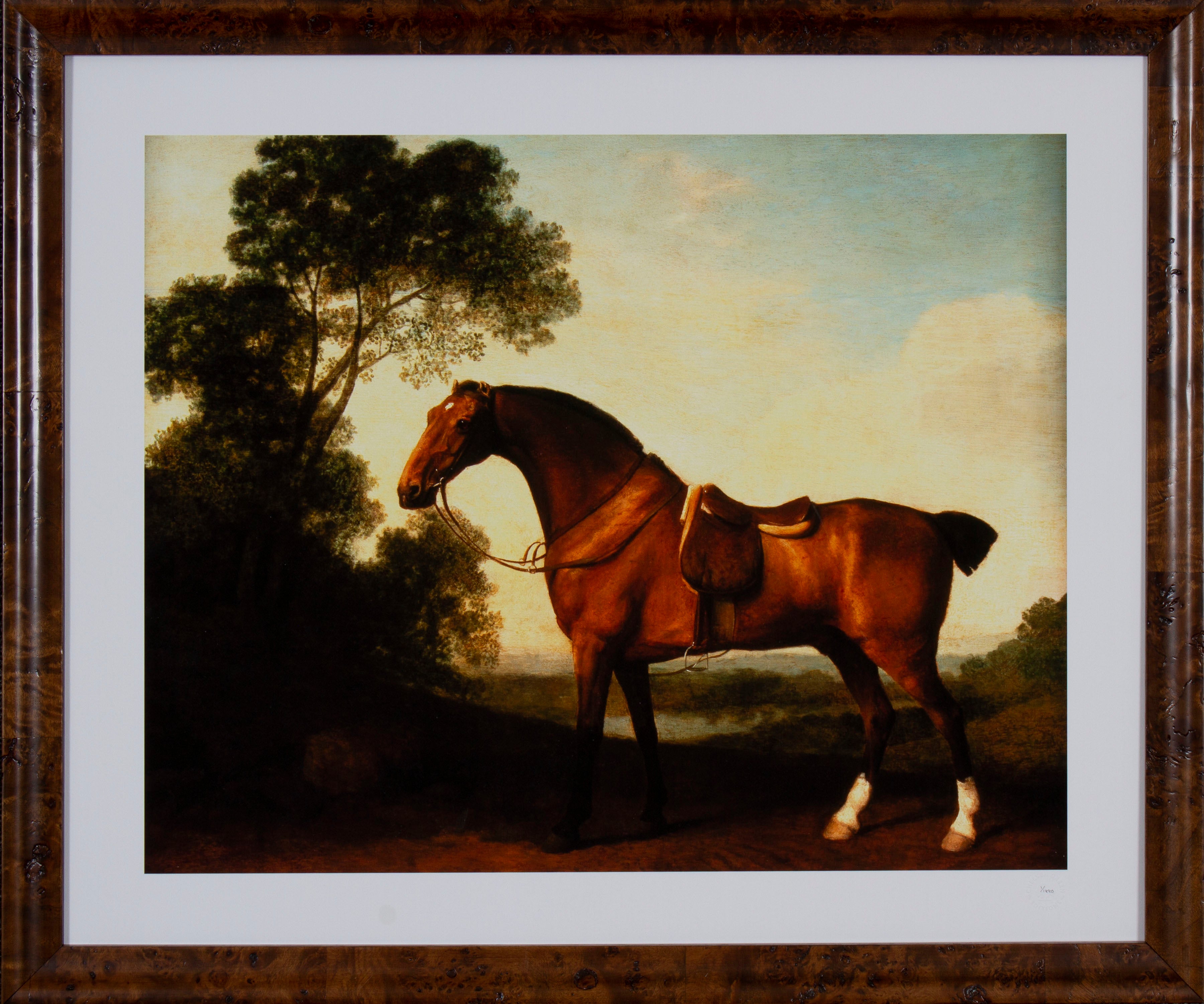 SADDLED BAYHUNTER – Shadow Catchers Art