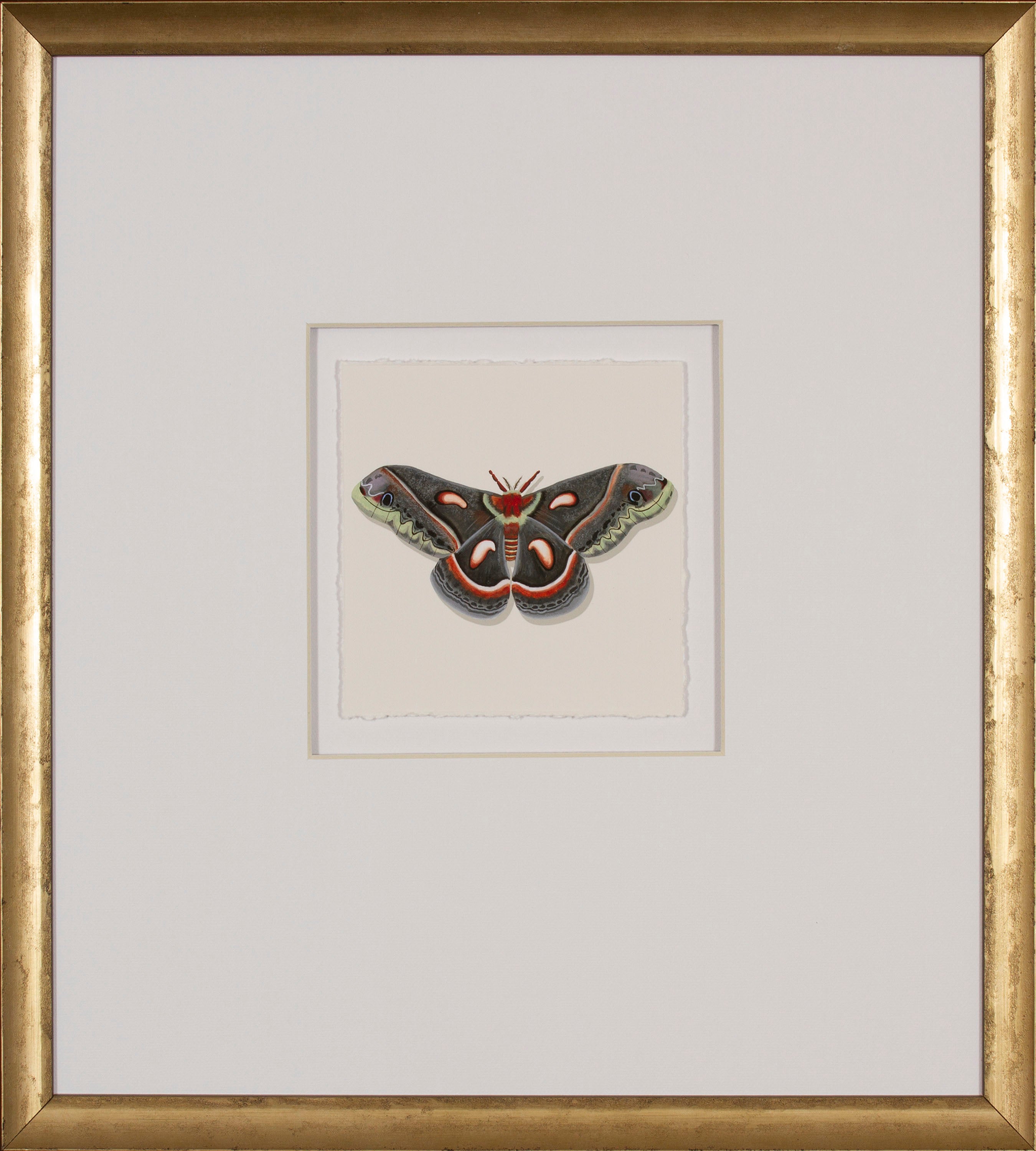 WATERCOLOR MOTH III – Shadow Catchers Art